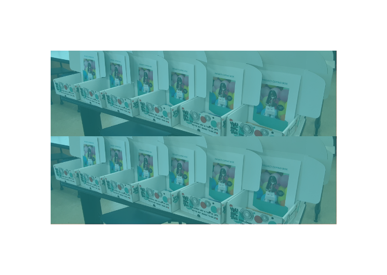 Youth Coping Boxes – COPE Network